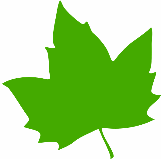 Retirement Homes in Ontario (2026) – Costs, Care & Licensed Residences